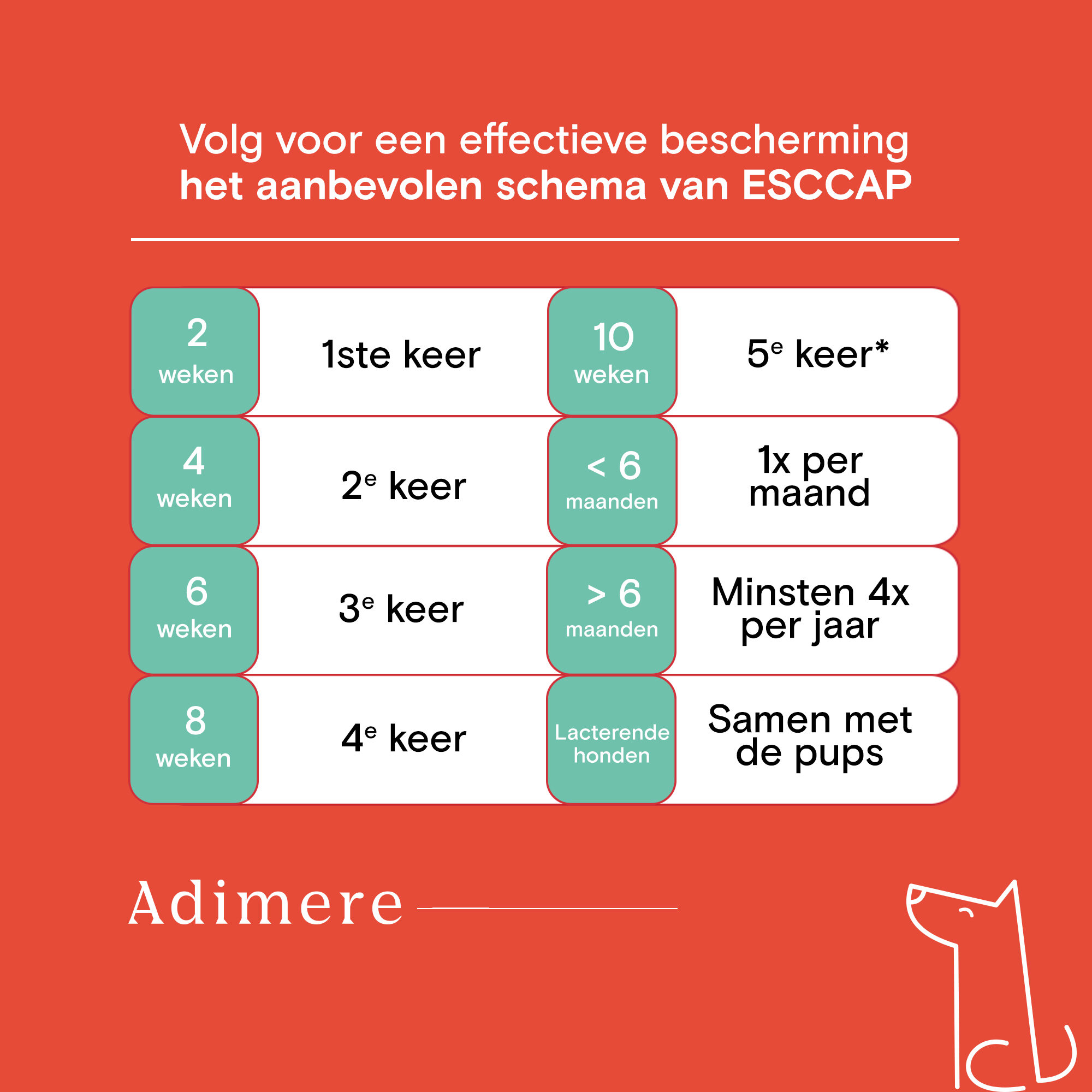Adimere | Ontworming | Hond | Medpets