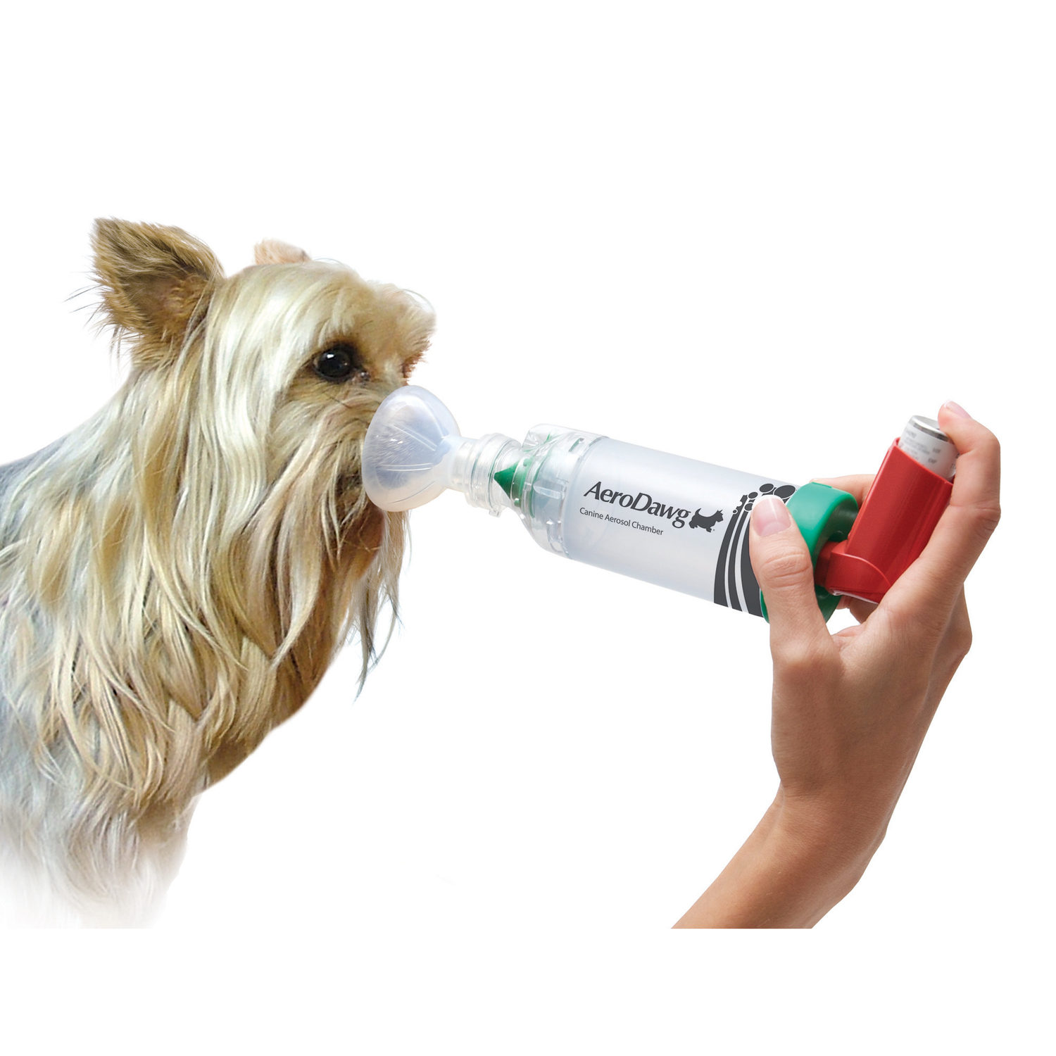 AeroDawg Inhalatiesysteem | Honden | Bestellen