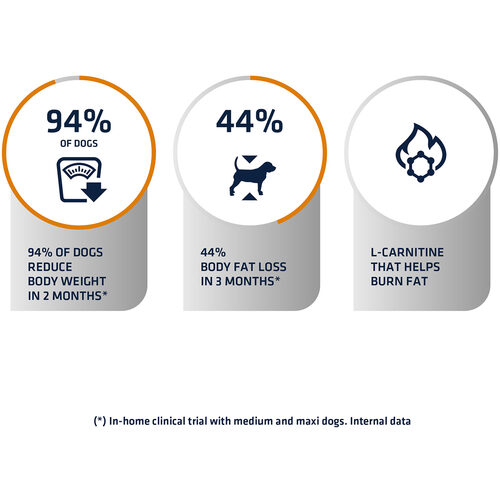 Affinity Advance Vet. Diets Weight Balance | Dog