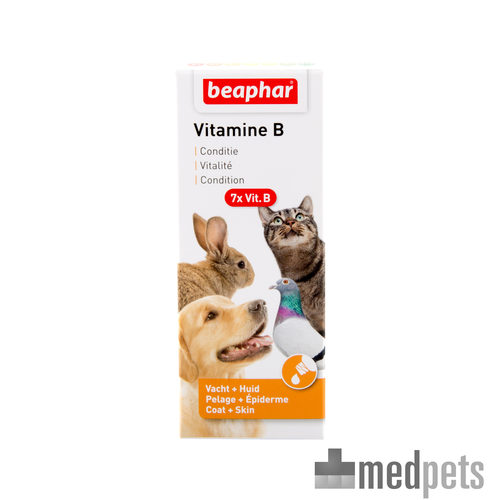 Beaphar Vitamine B | bestellen | haaruitval, rui | Hond Kat Vogel