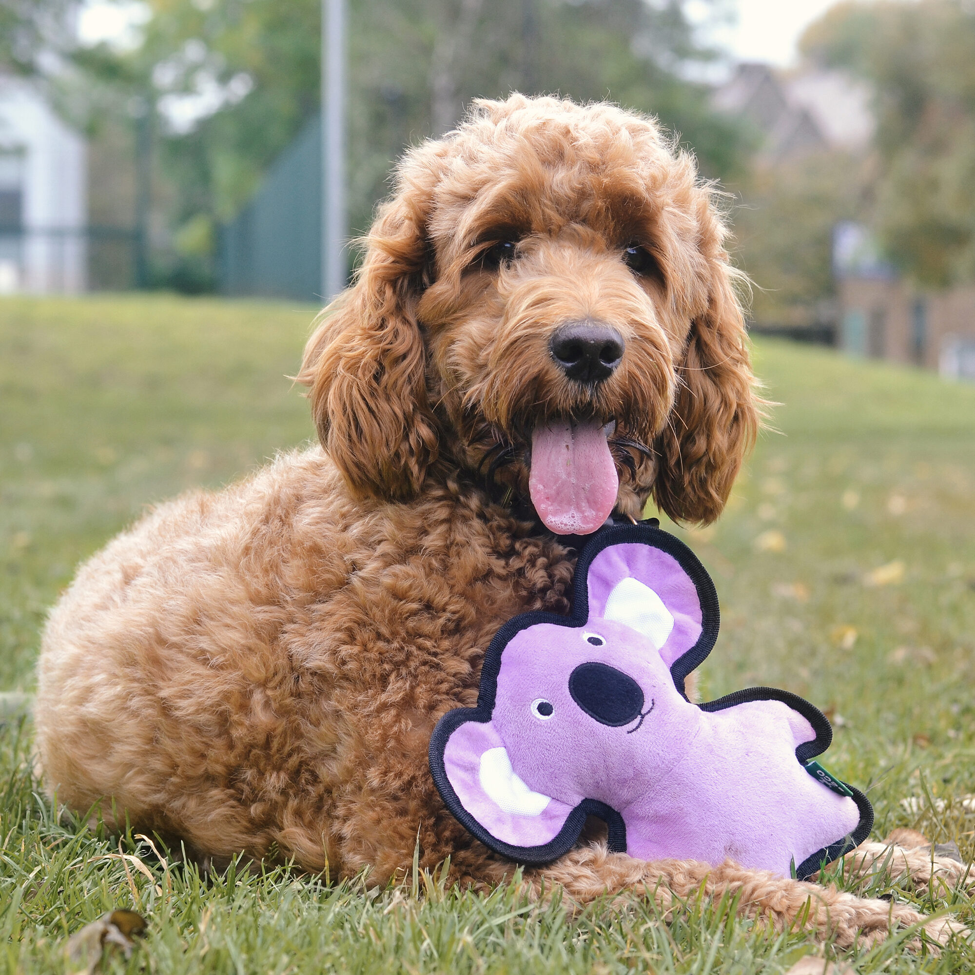 Beco Plush Toy | Hondenspeelgoed | Bestellen