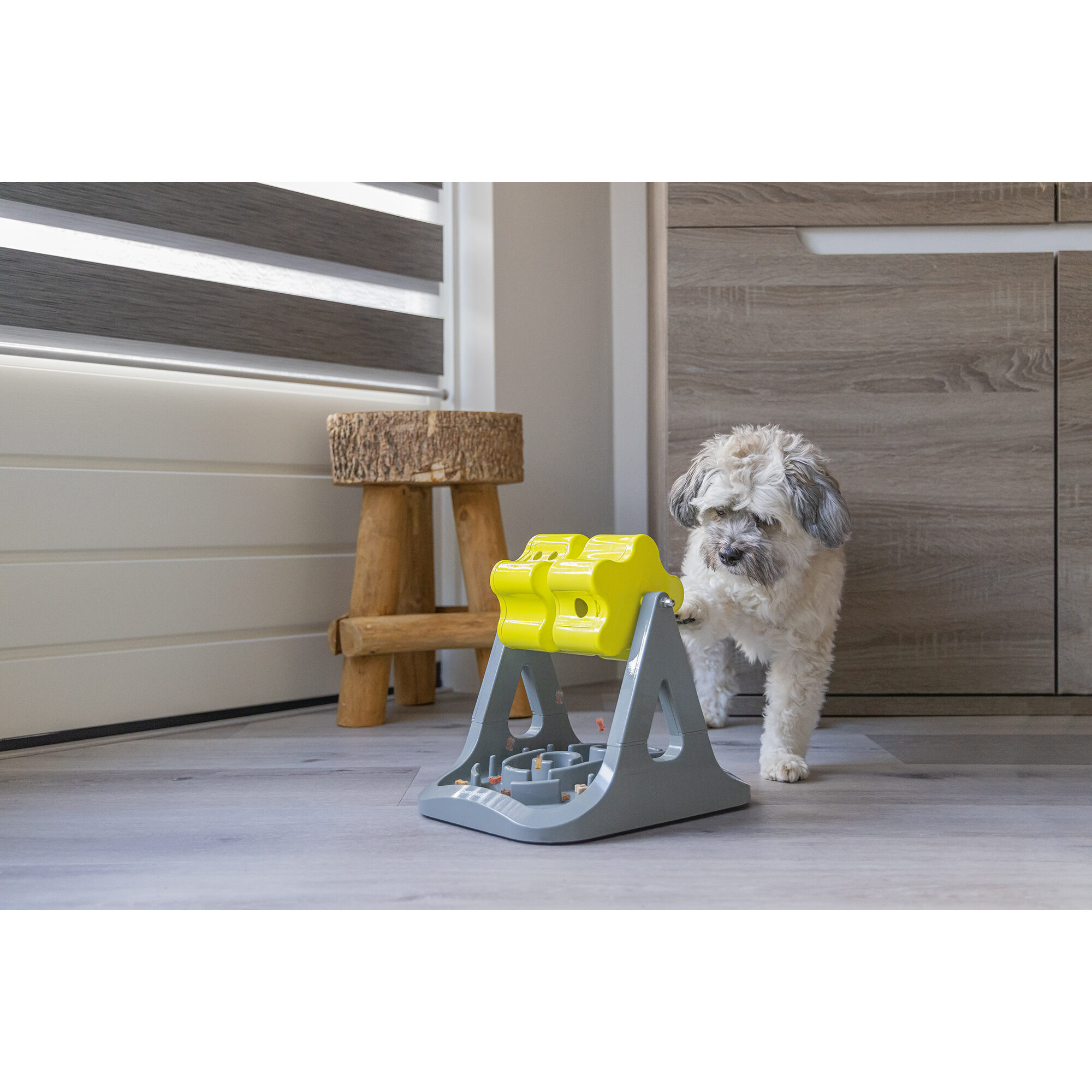 Beeztees Brain Game Rodar | Honden | Bestellen