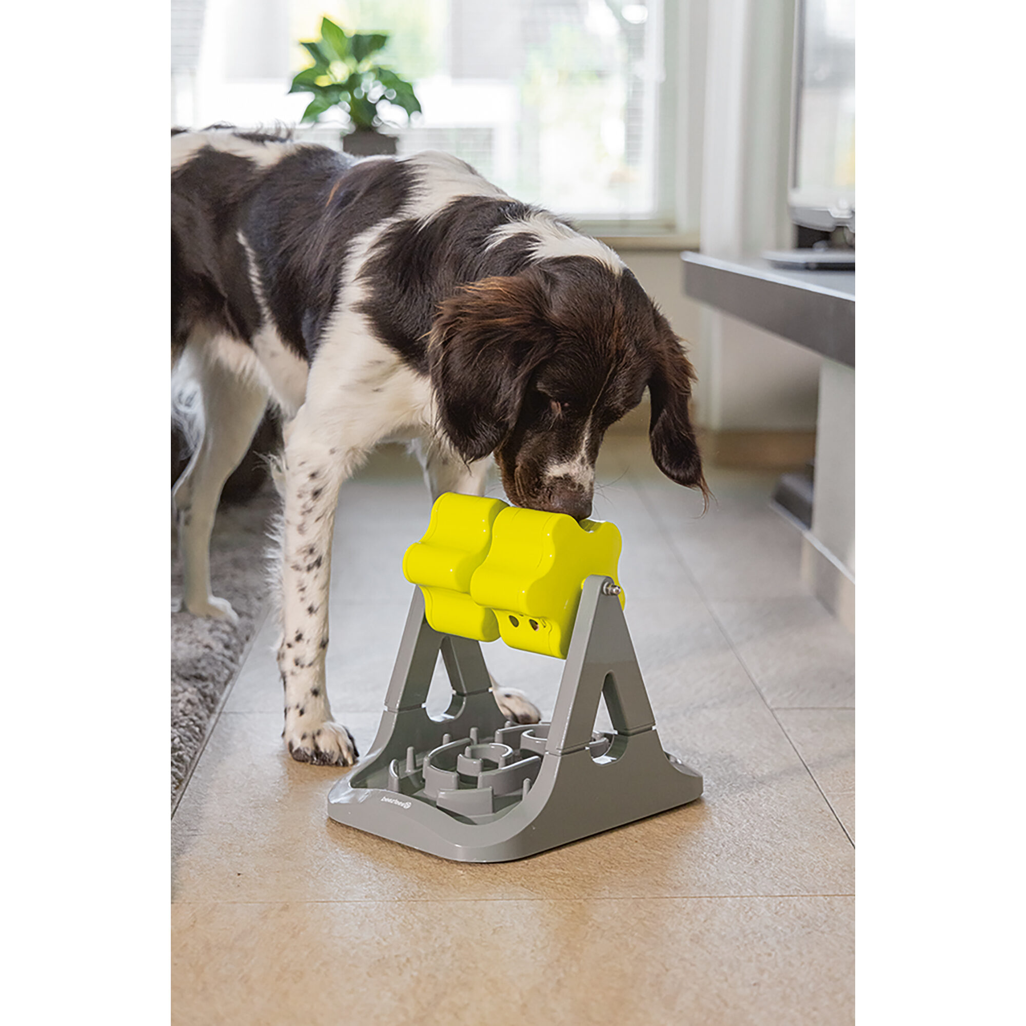 Beeztees Brain Game Rodar | Honden | Bestellen