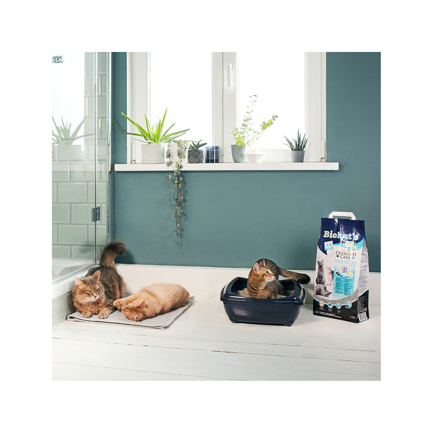 Biokat's Diamond Care MultiCat | Kat | Bestellen