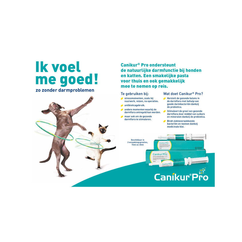 Canikur Pro | Ondersteuning darmflora hond kat | Bestellen