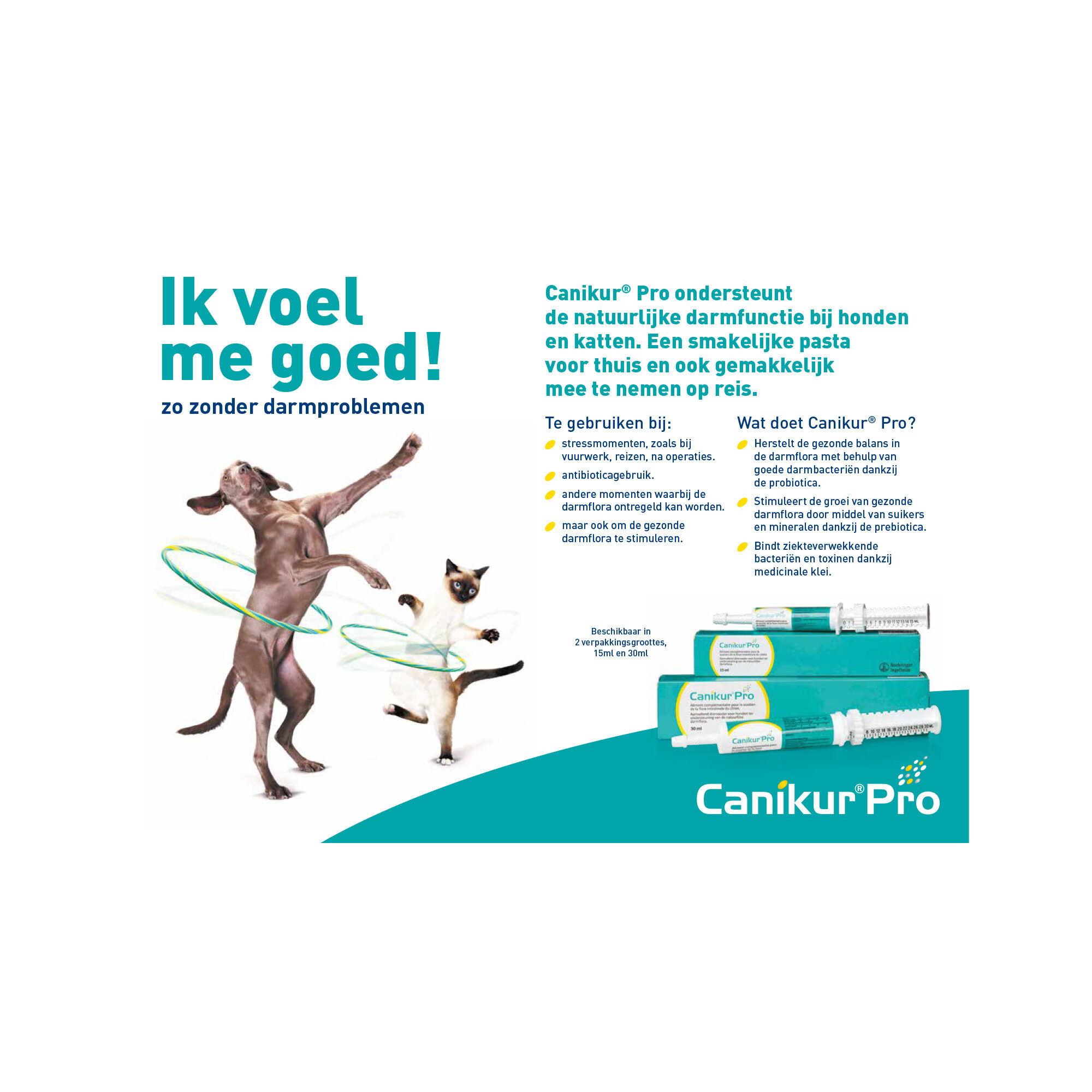 Canikur Pro | Ondersteuning darmflora hond kat | Bestellen