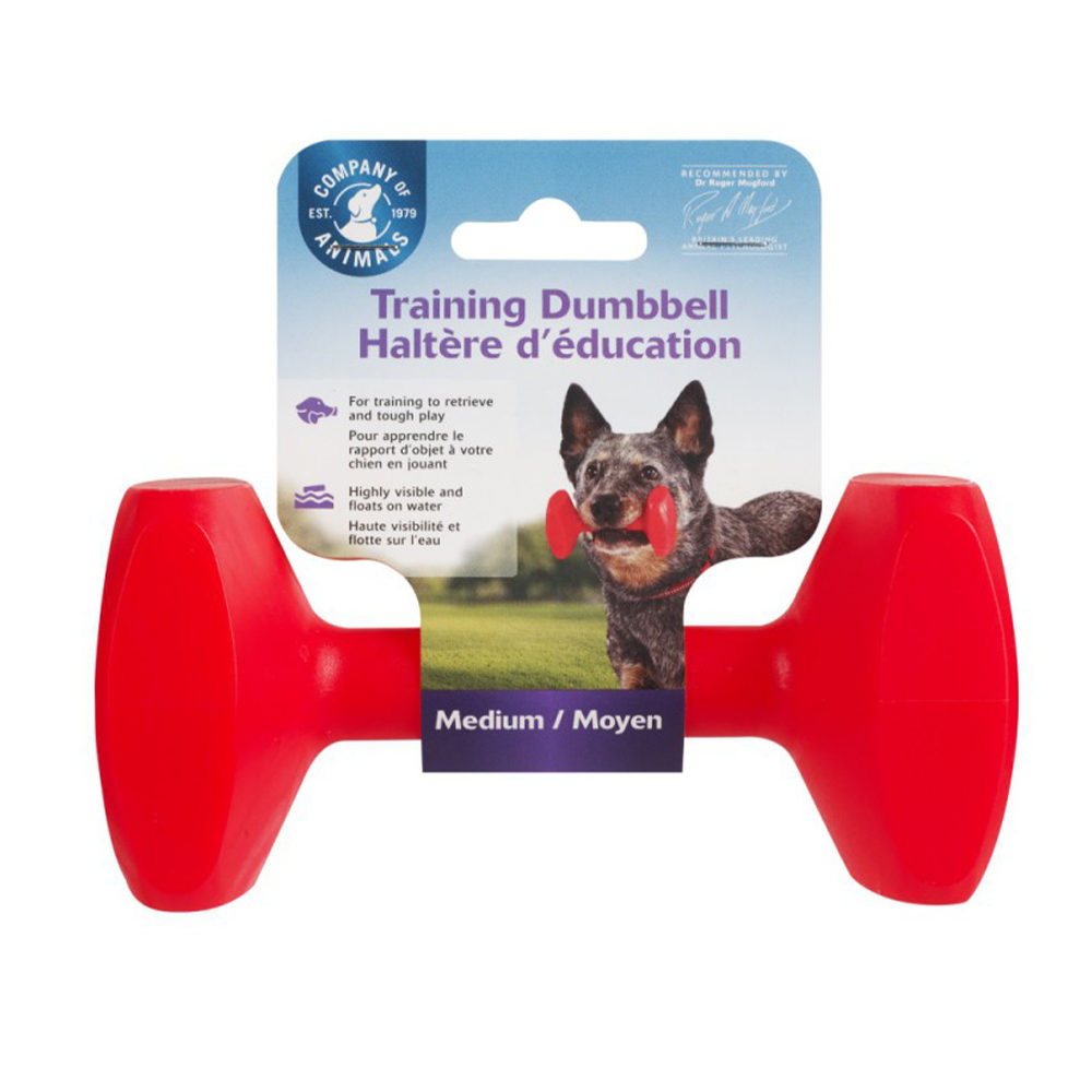 Clix Training Dumbbell - Apportierspielzeug