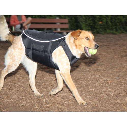 Comfy Wrap | Dog | Order Here