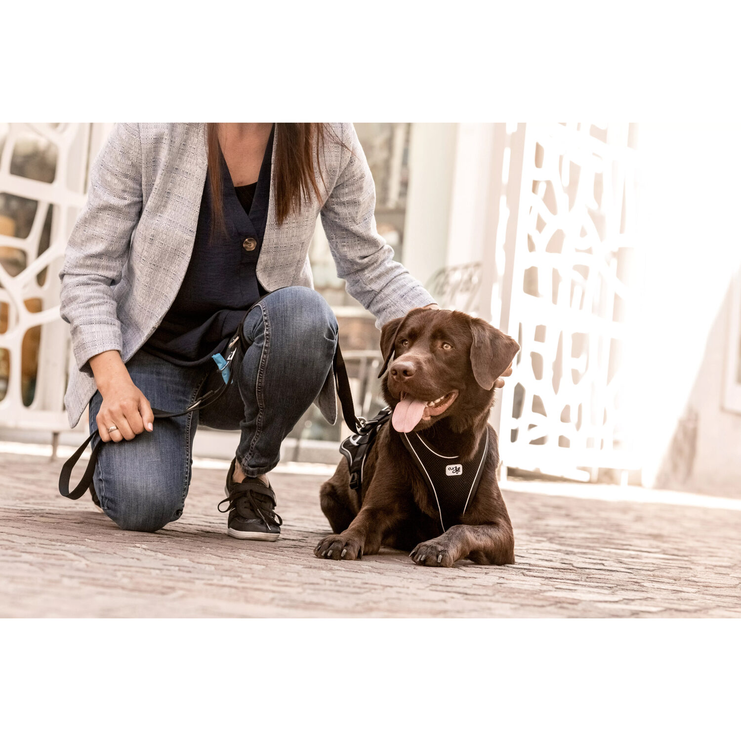 Curli Adjustable Leash Nylon I Honden I Bestellen