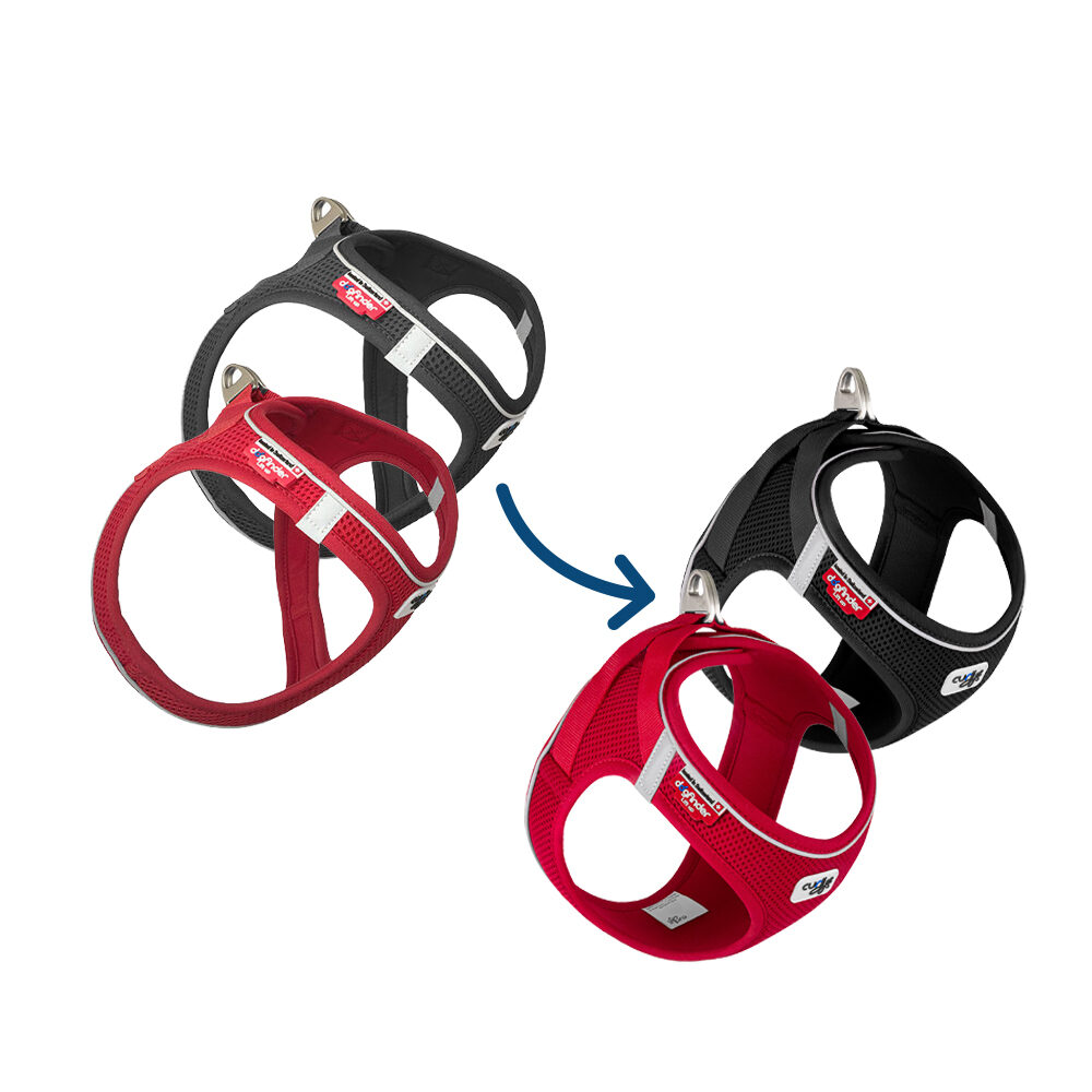Curli Magnetic Vest Harness | Hond | Bestellen