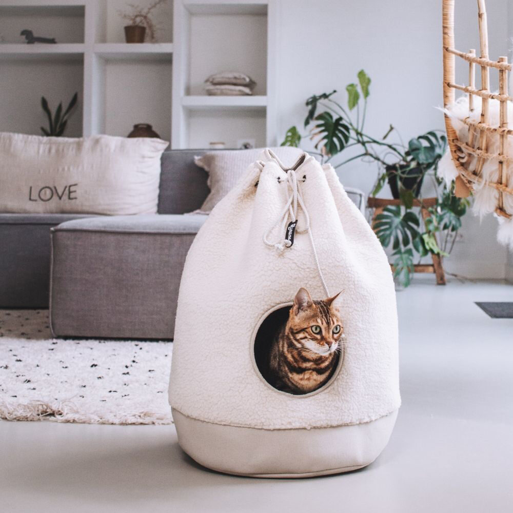 District 70 Casa Teddy Kattenhuisje | Katten