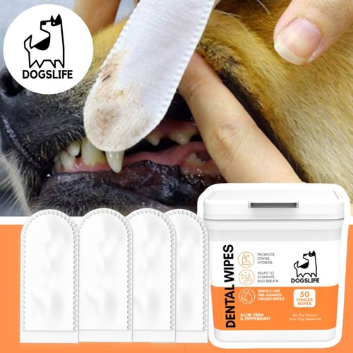 Dogslife Dental Wipes | Bestellen