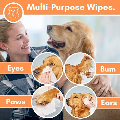 Dogslife Dog Grooming Wipes | Bestellen