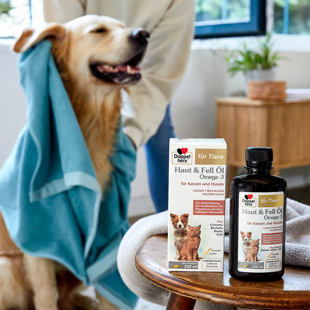 Doppelherz Haut And Fell Öl Omega 3 Für Katzen Und Hunde Bestellen