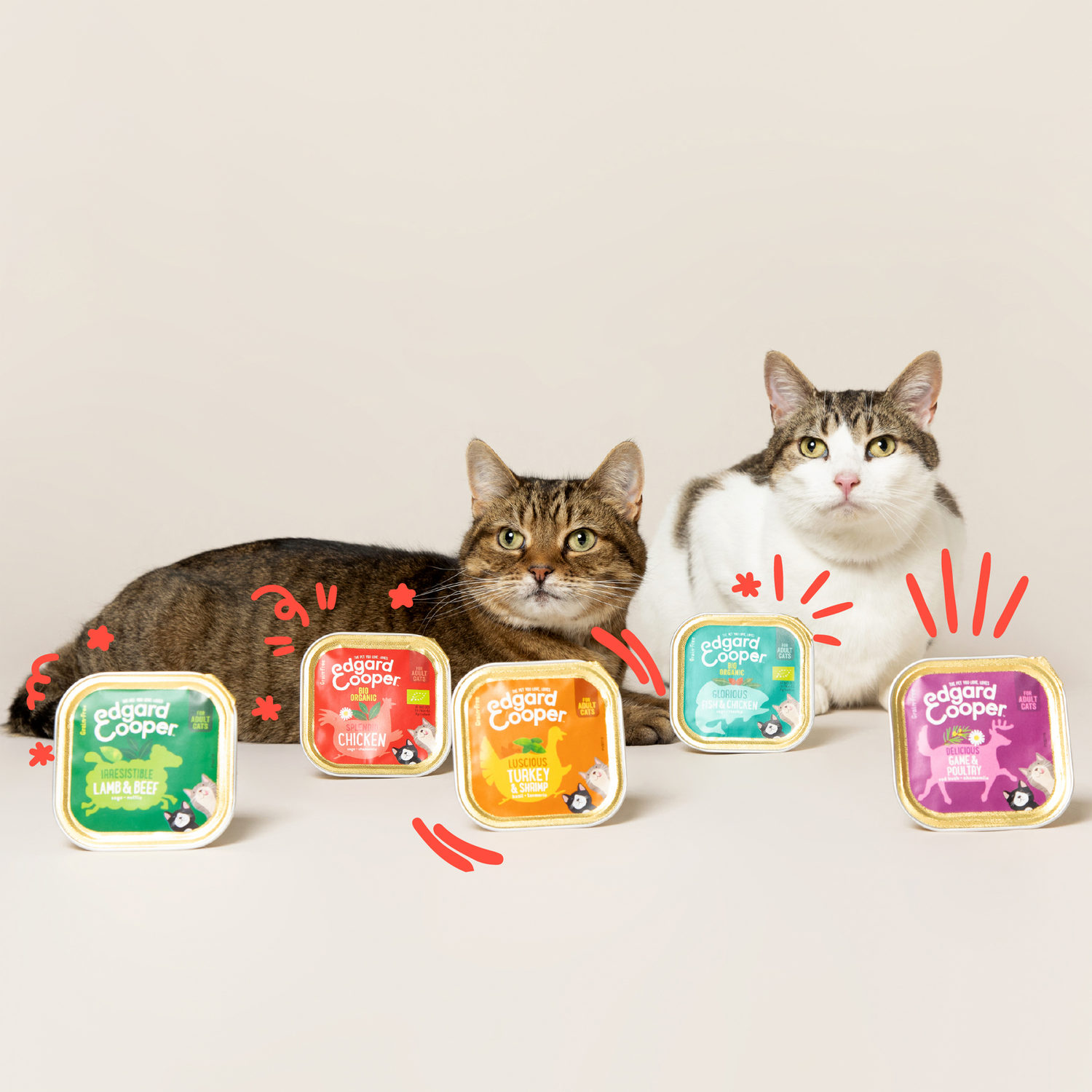 Edgard & Cooper Kitten | Kat | Bestellen