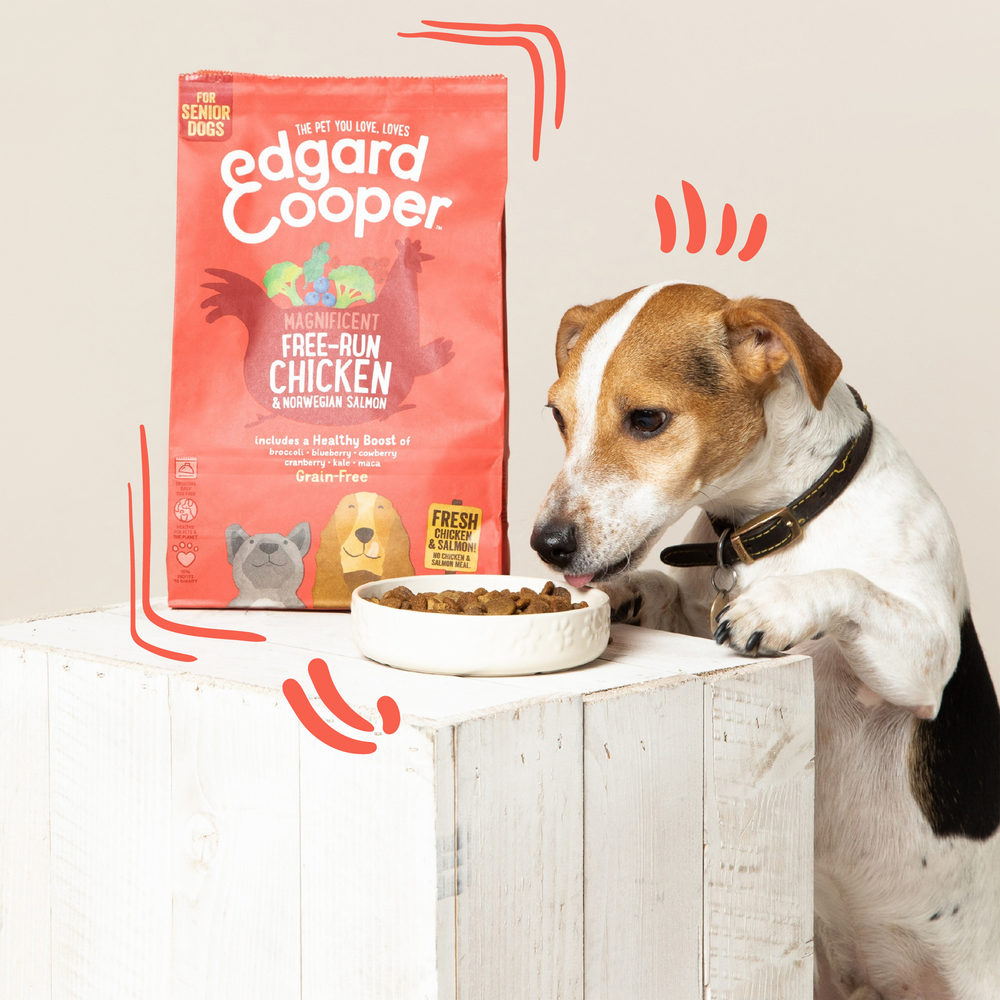 Edgard & Cooper Senior - Huhn & Lachs | Bestellen