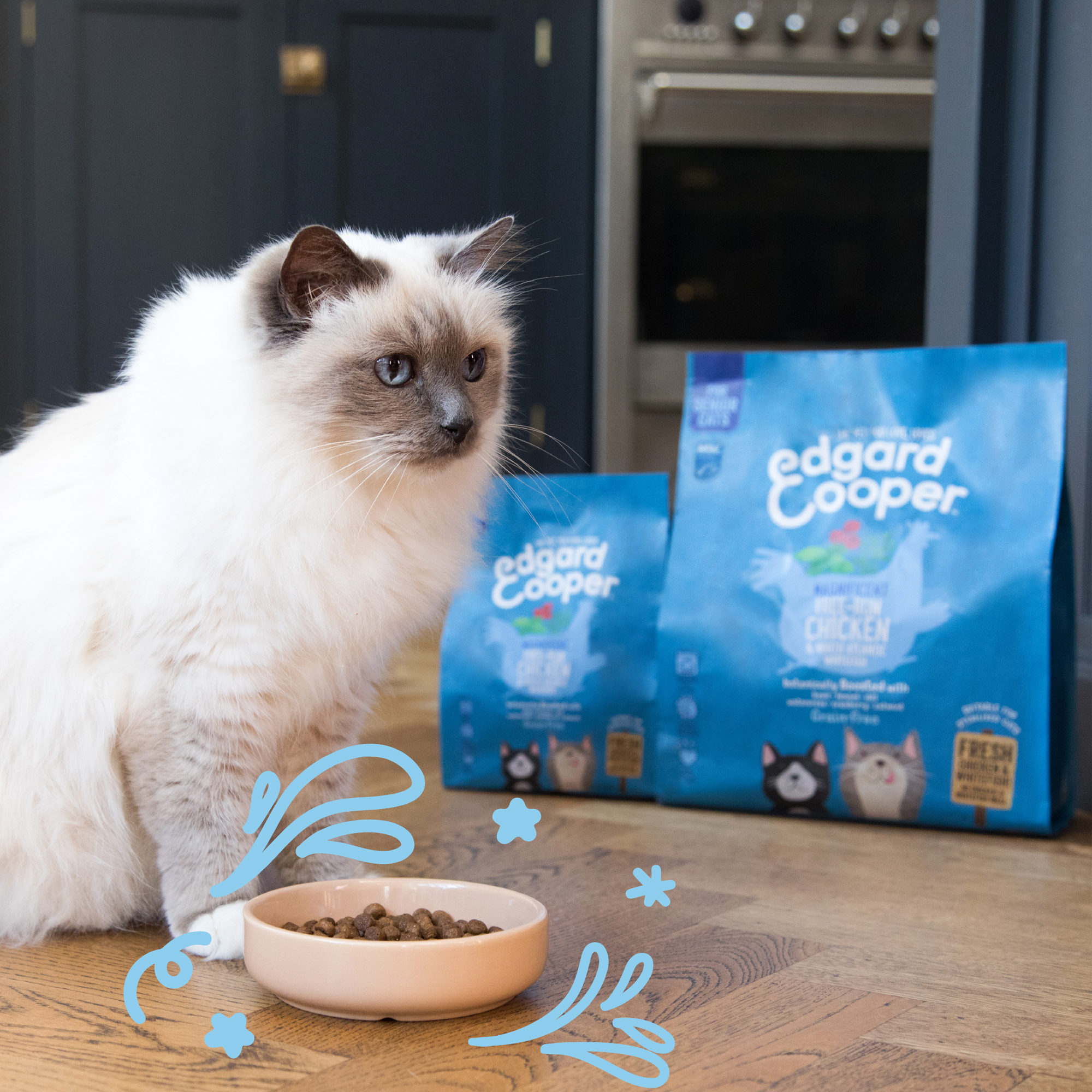 Edgard & Cooper Senior Cat | Kat | Bestellen