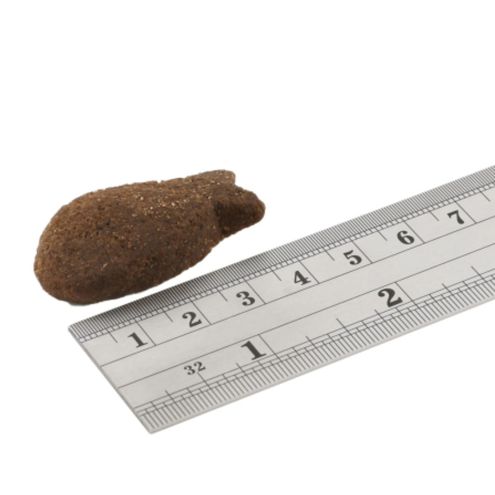 Fish4Dogs Joint Health Salmon Morsels | Bestel