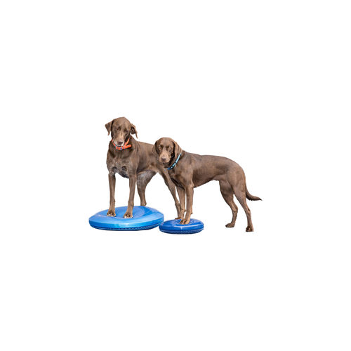 FitPAWS Balance Disc | Dog | Order