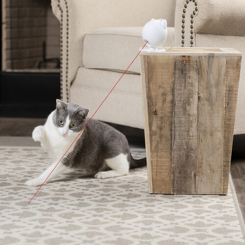 Frolicat Dancing Dot | Kat | Medpets.nl