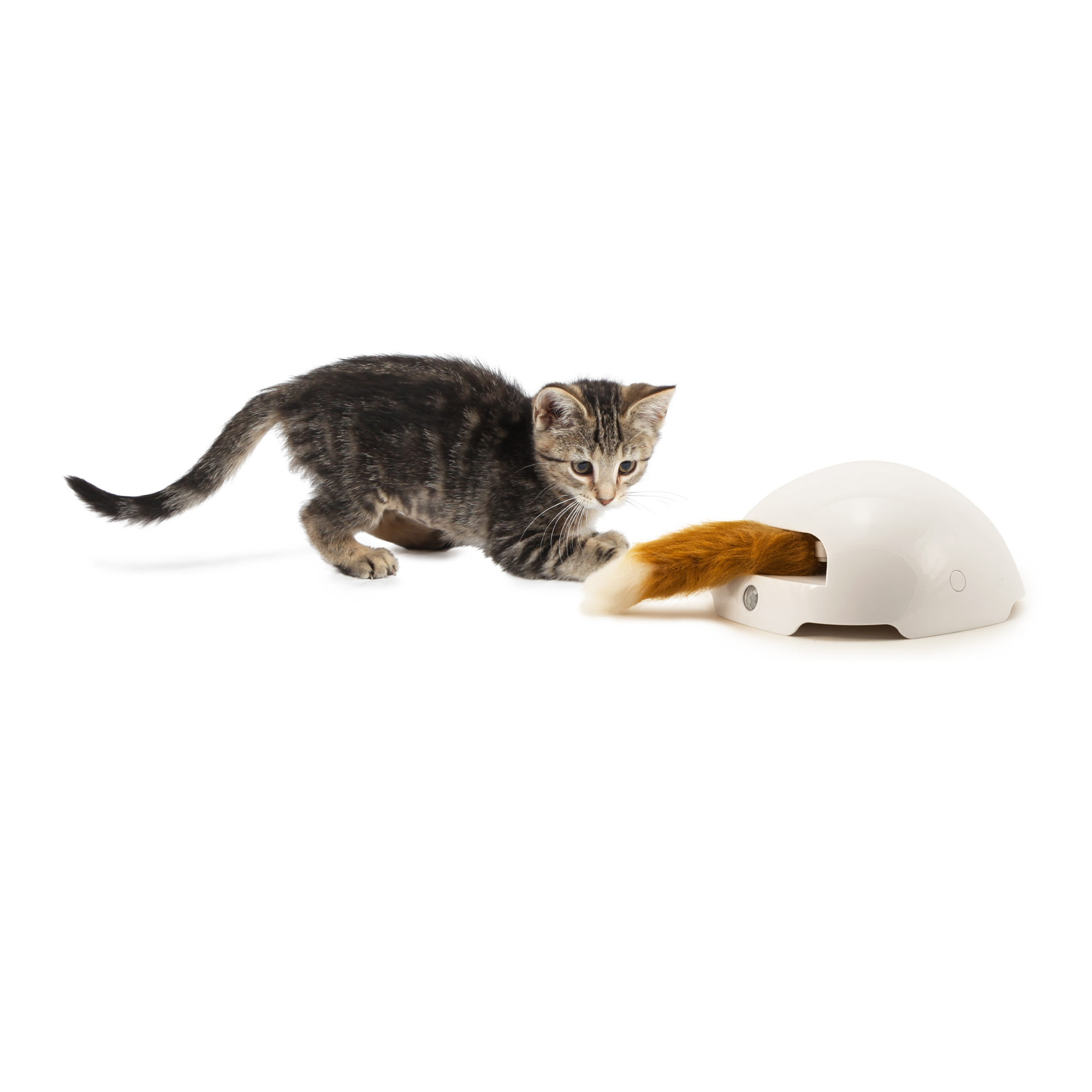 FroliCat Fox | Katzenspielzeug | Bestellen