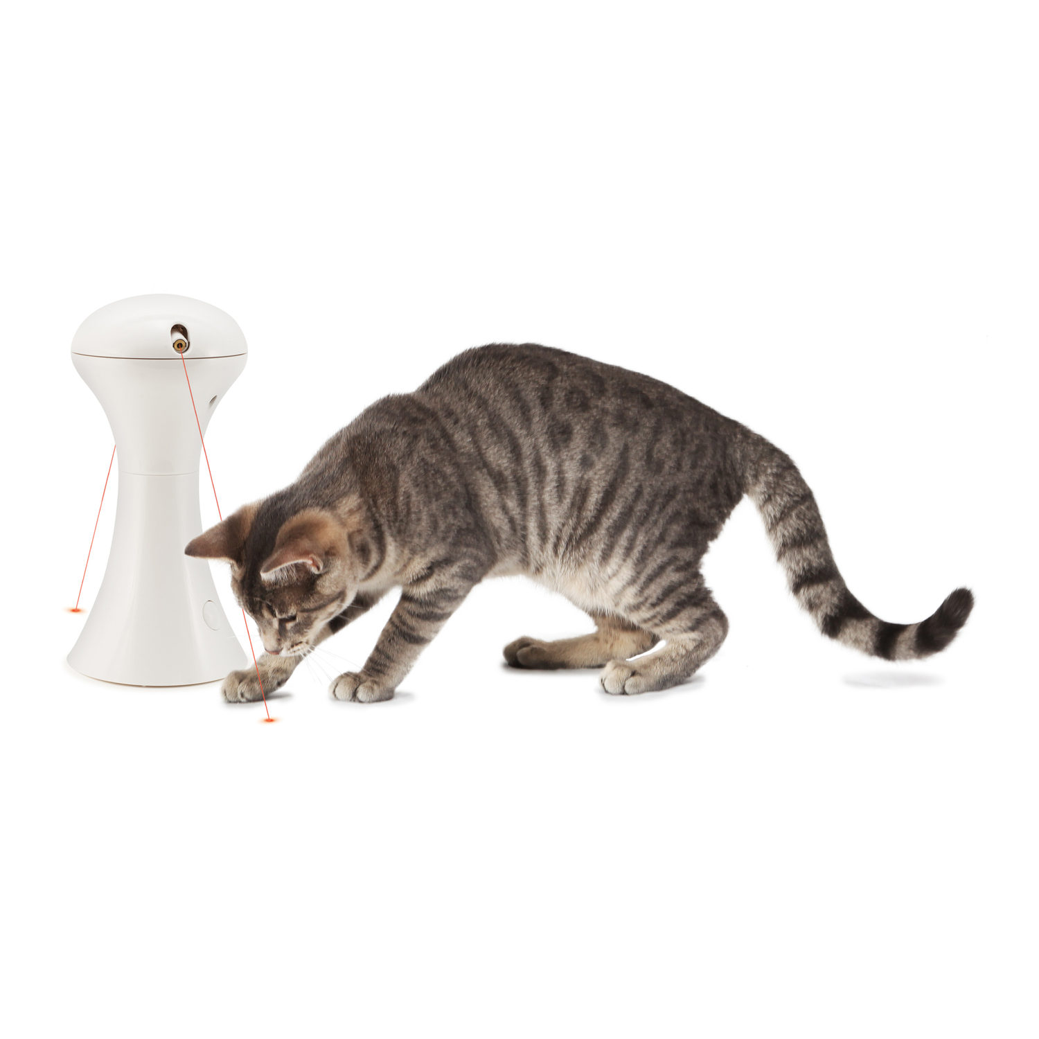 FroliCat Multi-Laser | Katten | Bestellen
