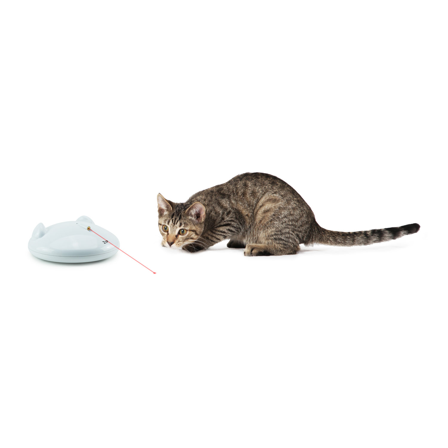 FroliCat Zip | Katten | Bestellen