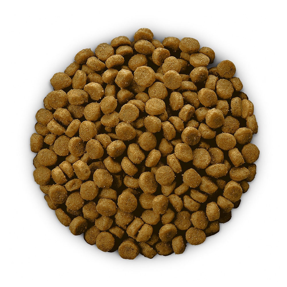 Hill's c/d Canine | Prescription Diet | Shop