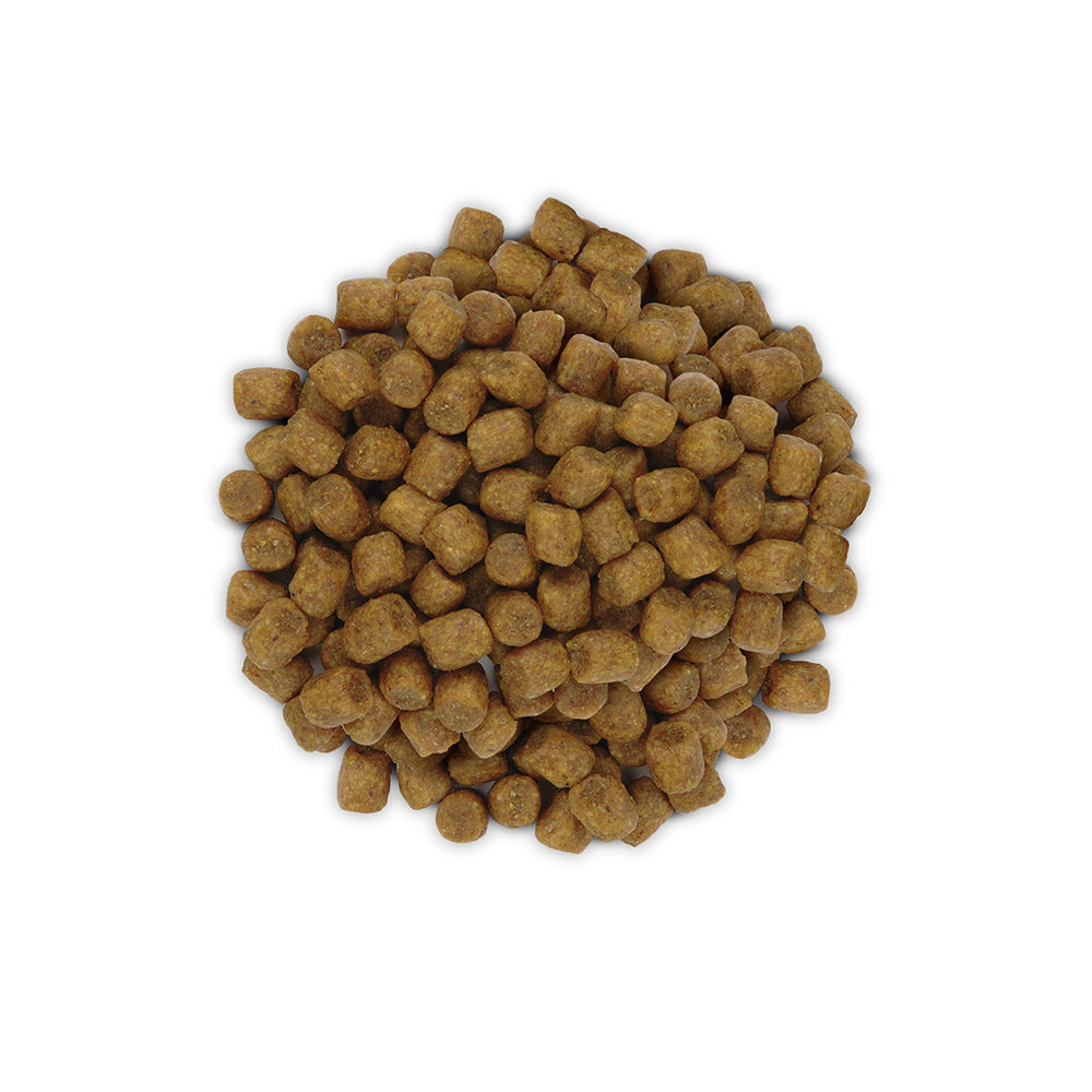 Hill's l/d Feline | Prescription Diet | Shop Today