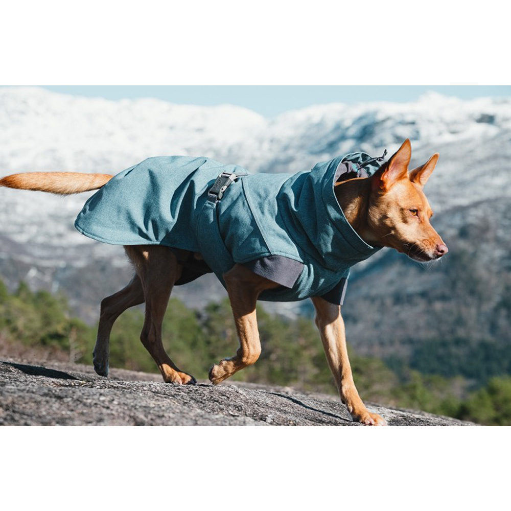 Hurtta Expedition Parka | Dogs | Order Here