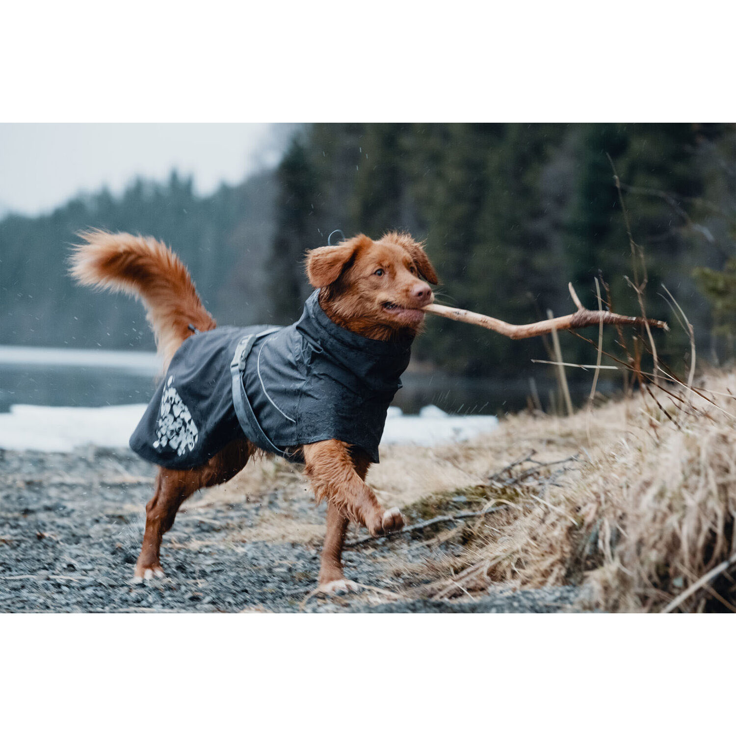 Hurtta Monsoon Coat | Hunde | Bestellen