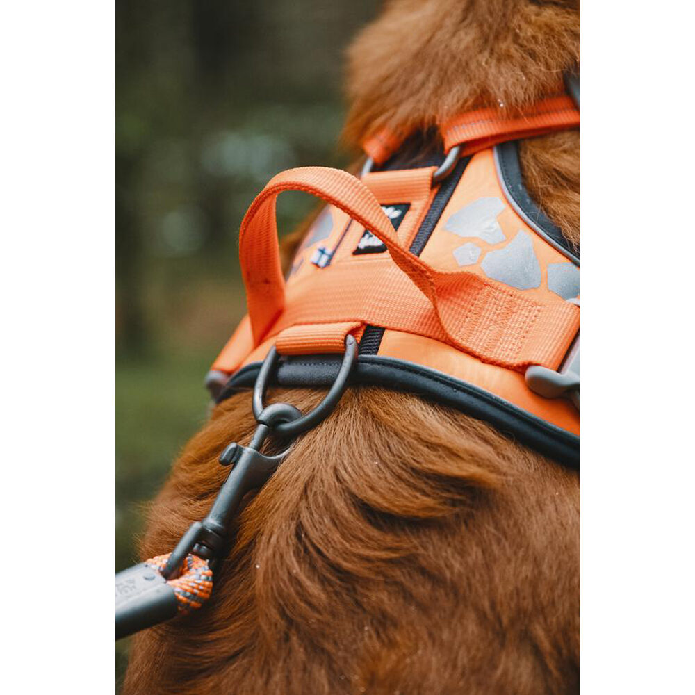 Hurtta Weekend Warrior Harness | Hond | Bestellen