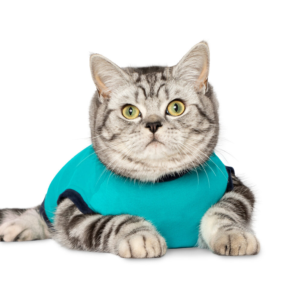 Jacketz Medical Body Suit Kat | Bestellen