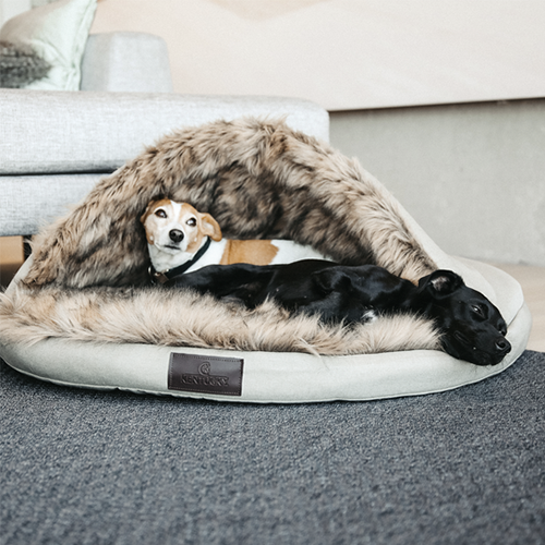 Kentucky Dogwear Iglo Hundekorb | Bestellen