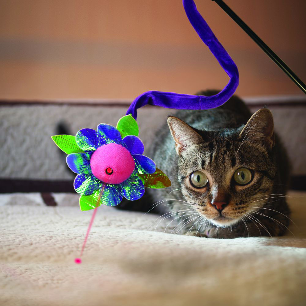 KONG Cat Laser Teaser | Katten | Bestellen