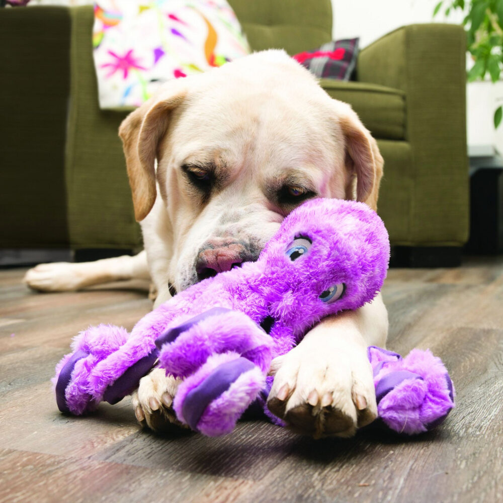 KONG SoftSeas - Octopus | Hond | Bestellen