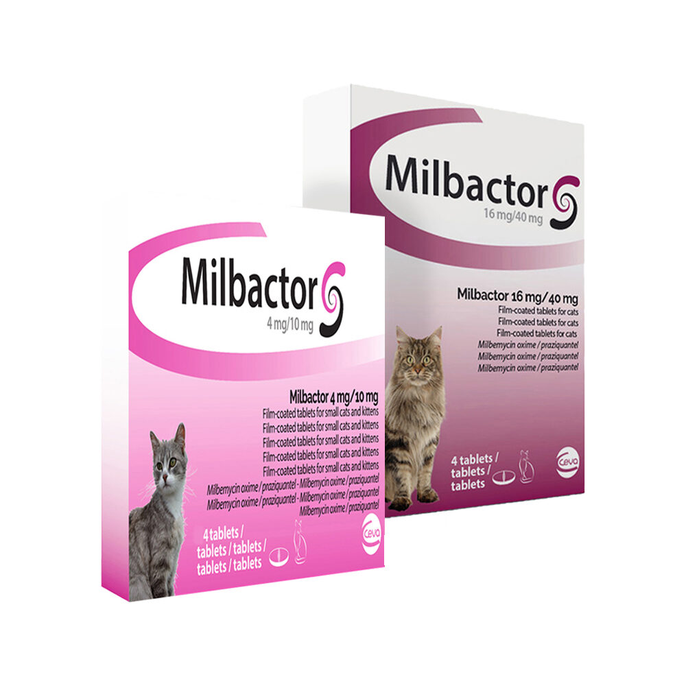 Milbactor Kat | Ontworming | Bestellen