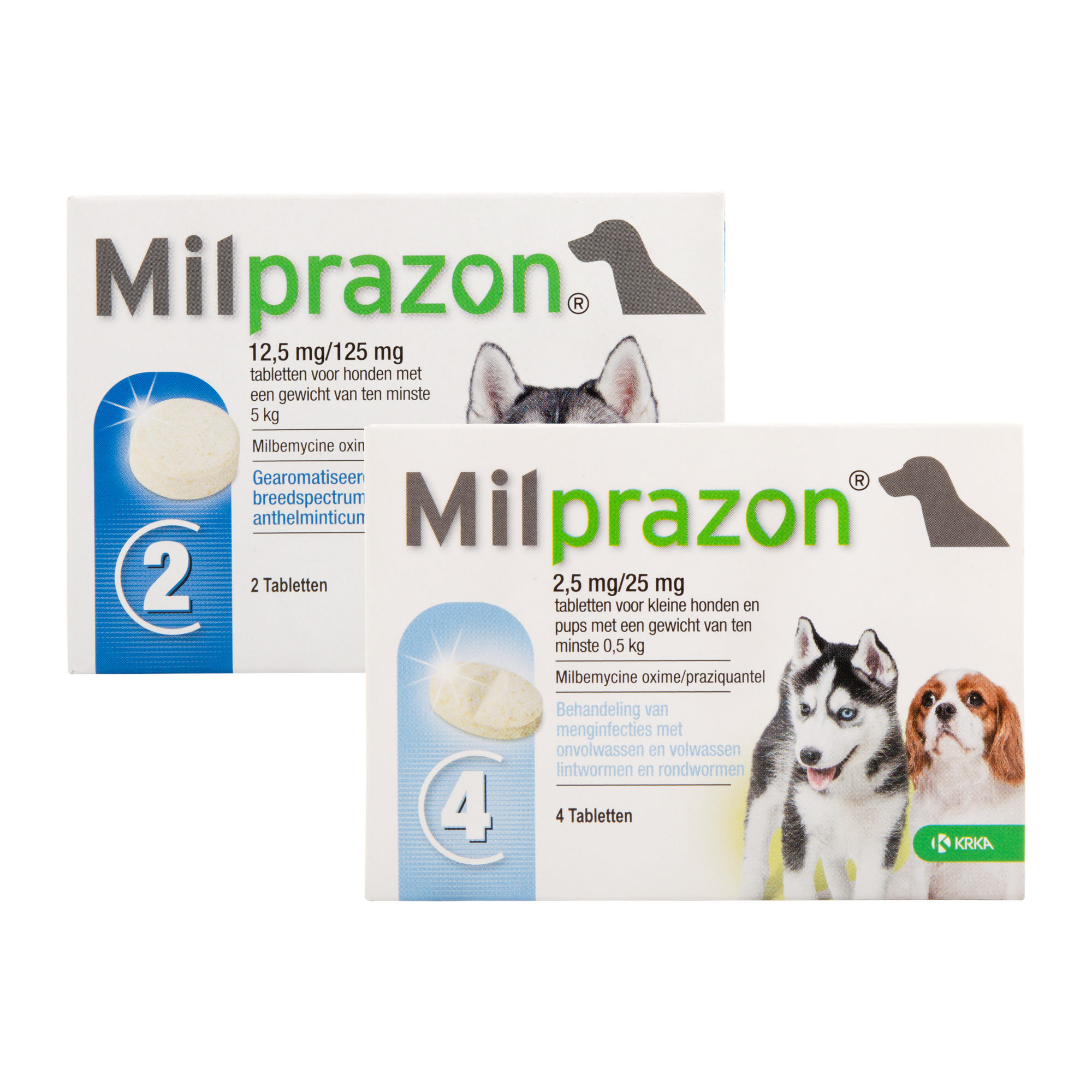 Milprazon Dog | Dog | Order
