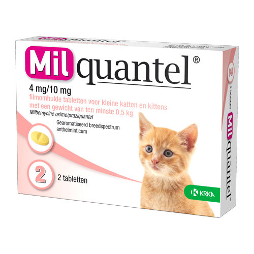Milquantel Kat | Ontwormen | Bestellen