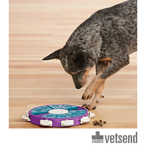 Nina Ottosson Dog Twister | Dog Toys | Shop