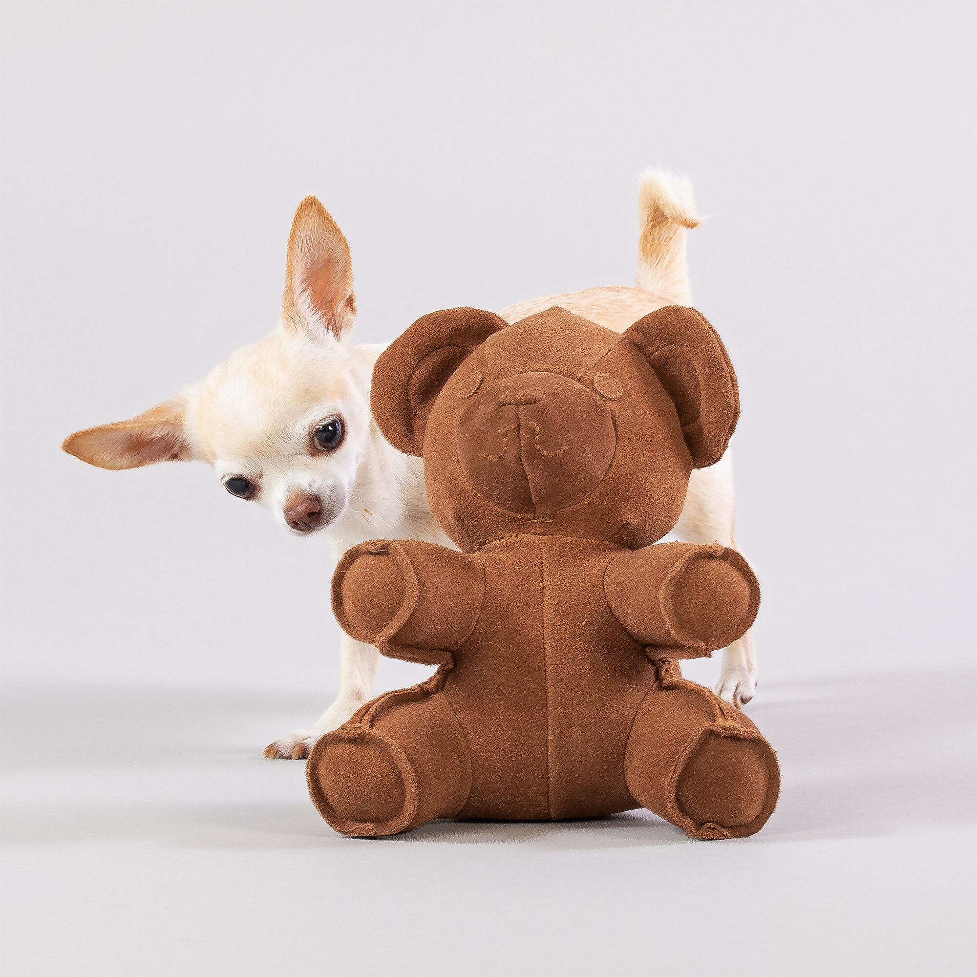 PAIKKA Teddy Toy | Hunde | Bestellen