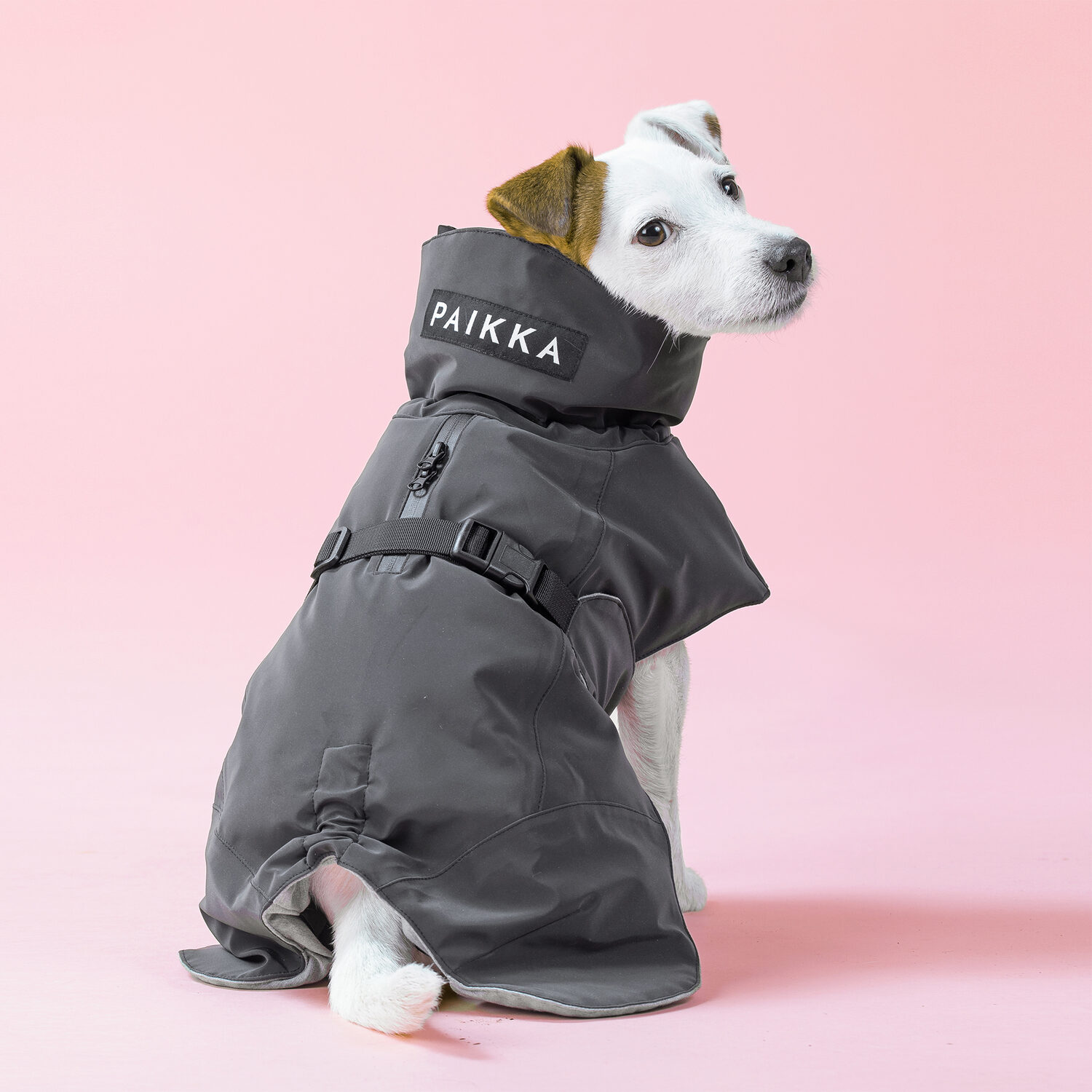 PAIKKA Visibility Winter Jacket I Honden I Bestel
