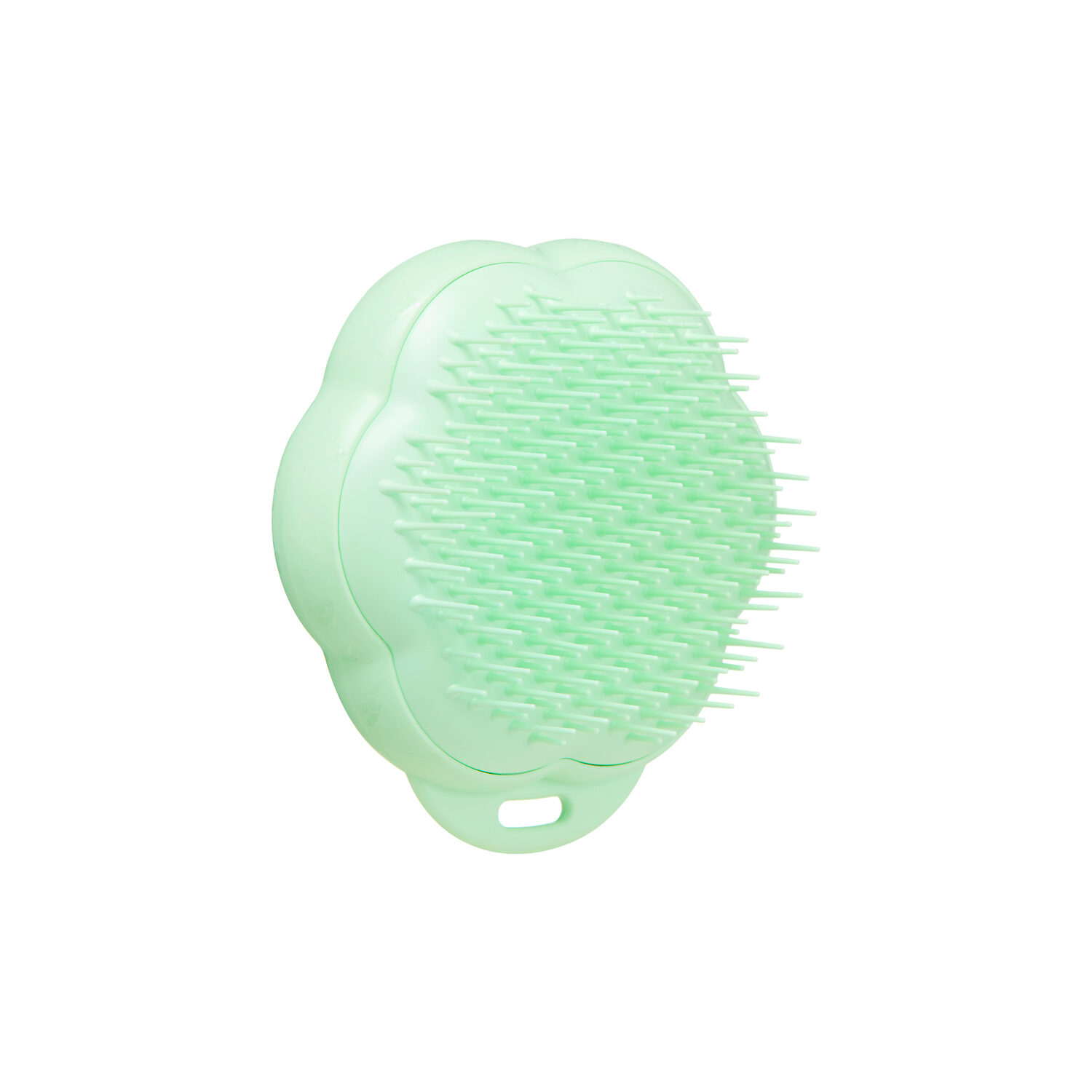 Pet Teezer borstel I Katten I Bestellen I Medpets