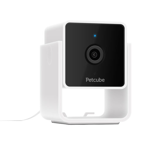 Petcube Cam I Hunde I Katzen I Bestellen