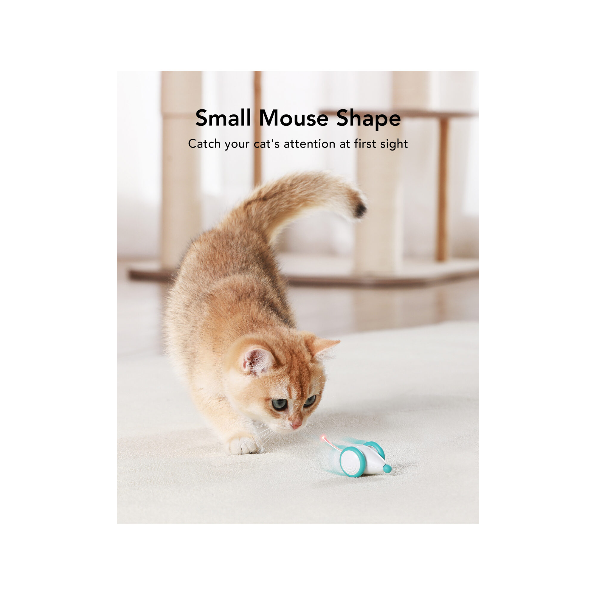 Petlibro Pixie Mouse I Katten I Bestellen