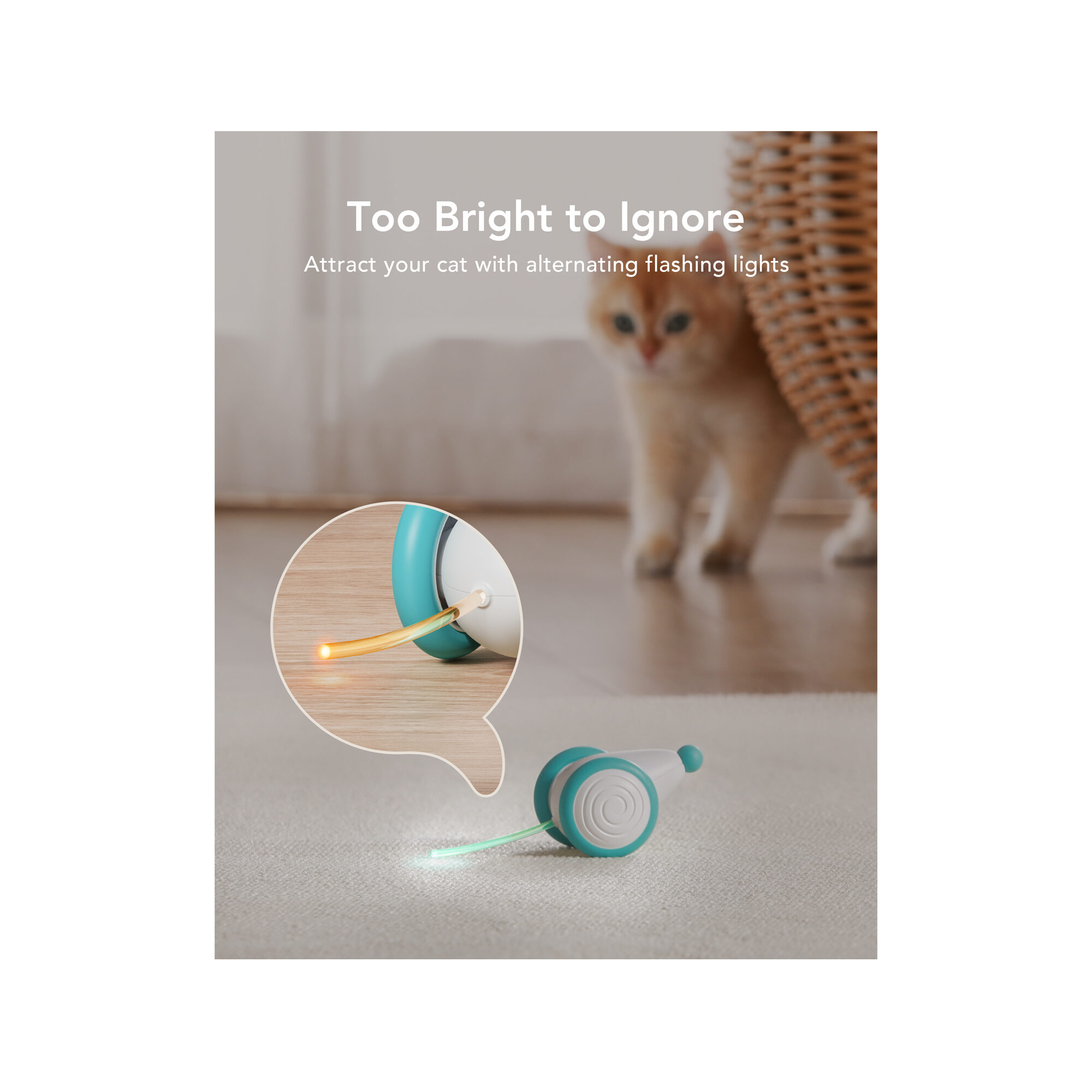 Petlibro Pixie Mouse I Katzen I Bestellen