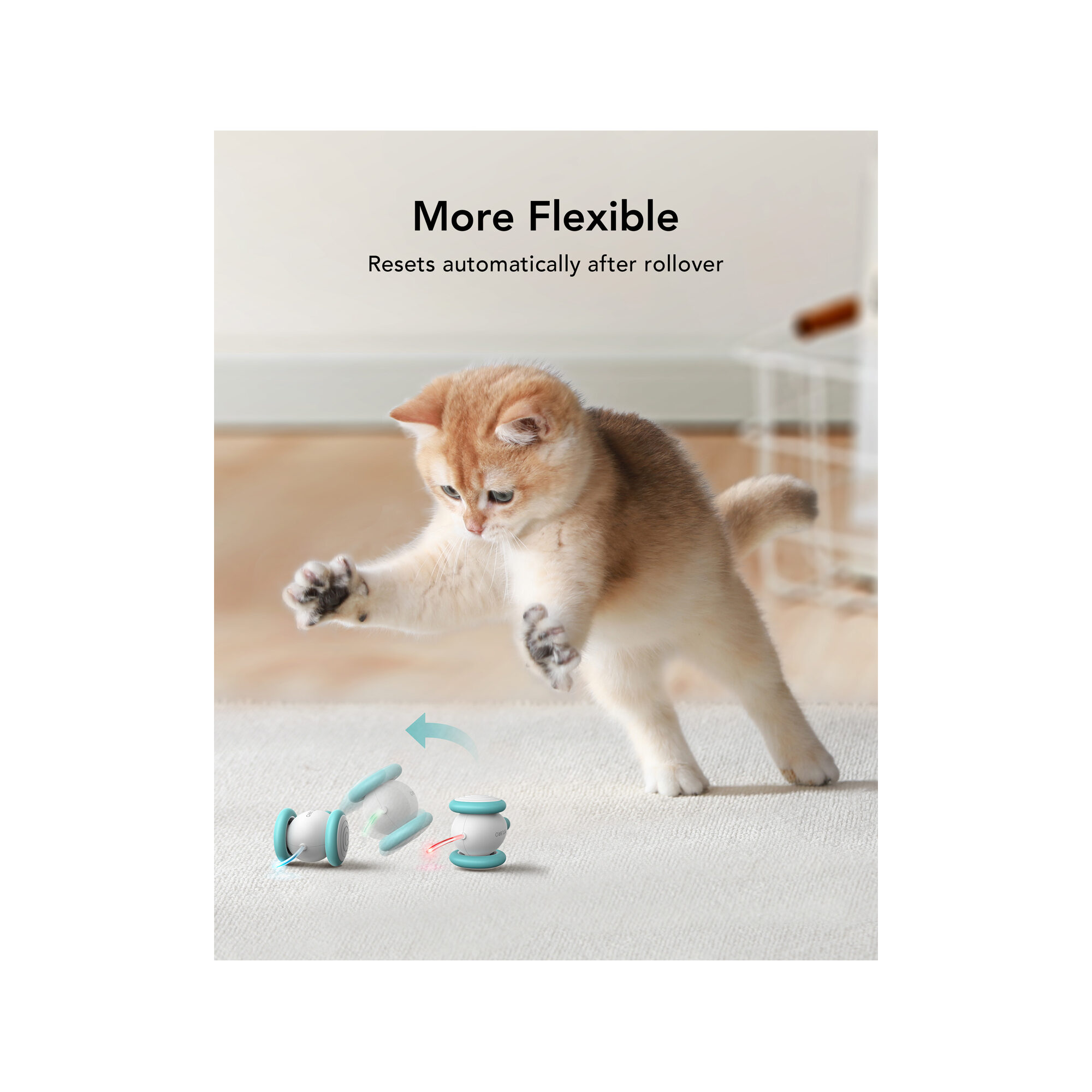 Petlibro Pixie Mouse I Katten I Bestellen