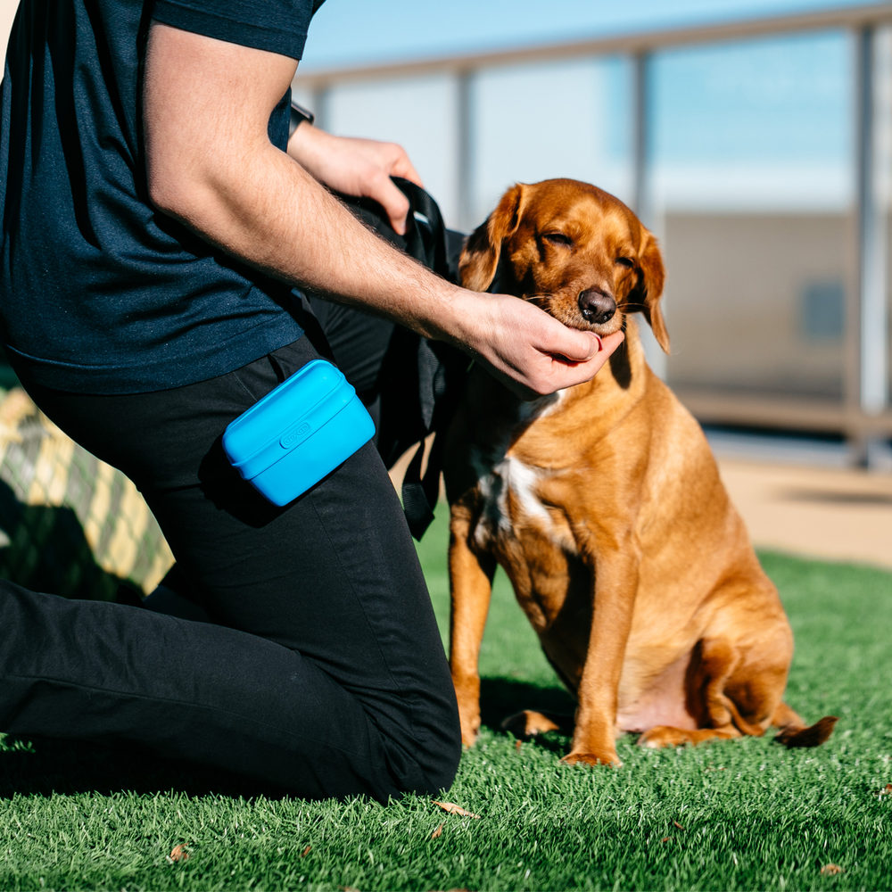 Popware Pooch Pouch Treatbag | Hond | Bestellen