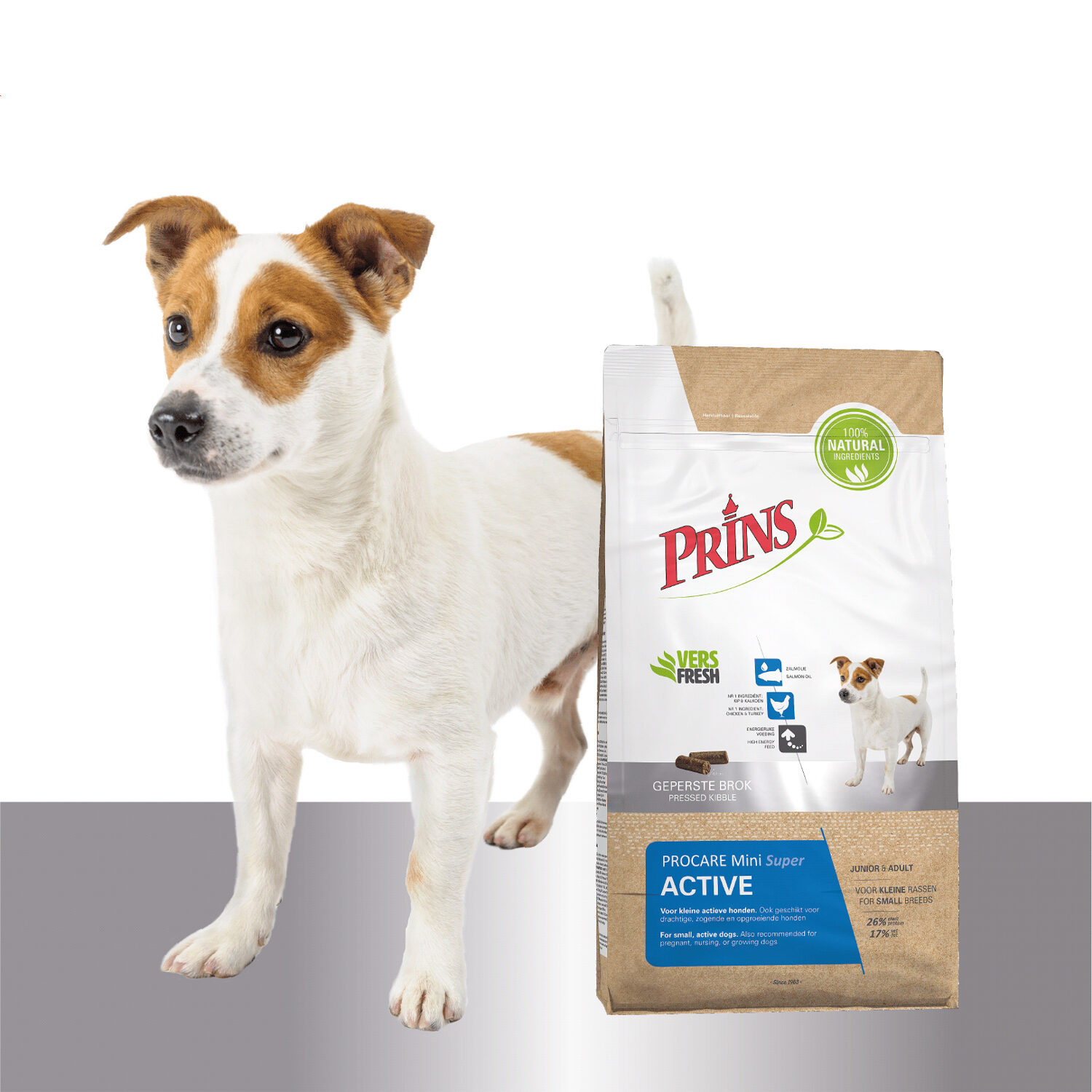 Prins ProCare Mini Super Active | Hond | Bestellen