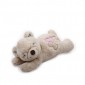 AFP Little Buddy - Warm Bear | Dogs | Shop Now